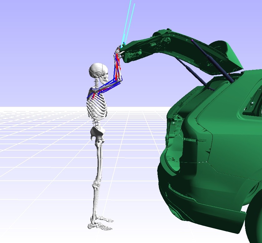 Dynamic Human Model EMMA: Software for Simulating Human Movements ...